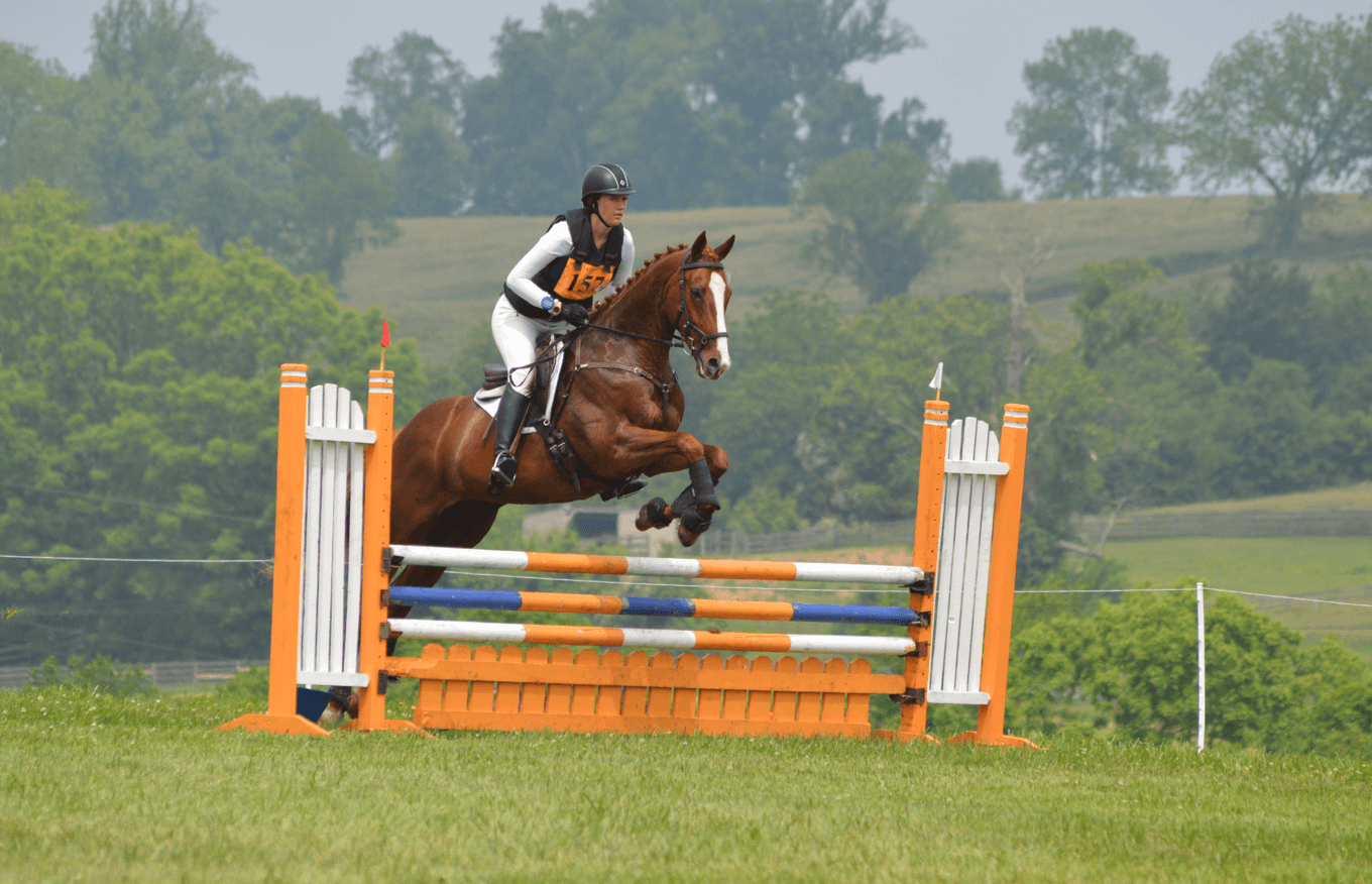 Home - Performance Equine Insurance